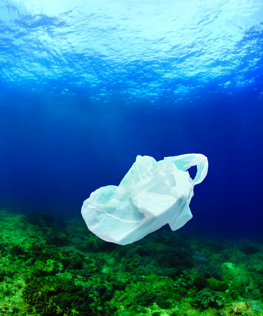 Drowning In Plastic How You Can Help Save Our Oceans Natures Fare