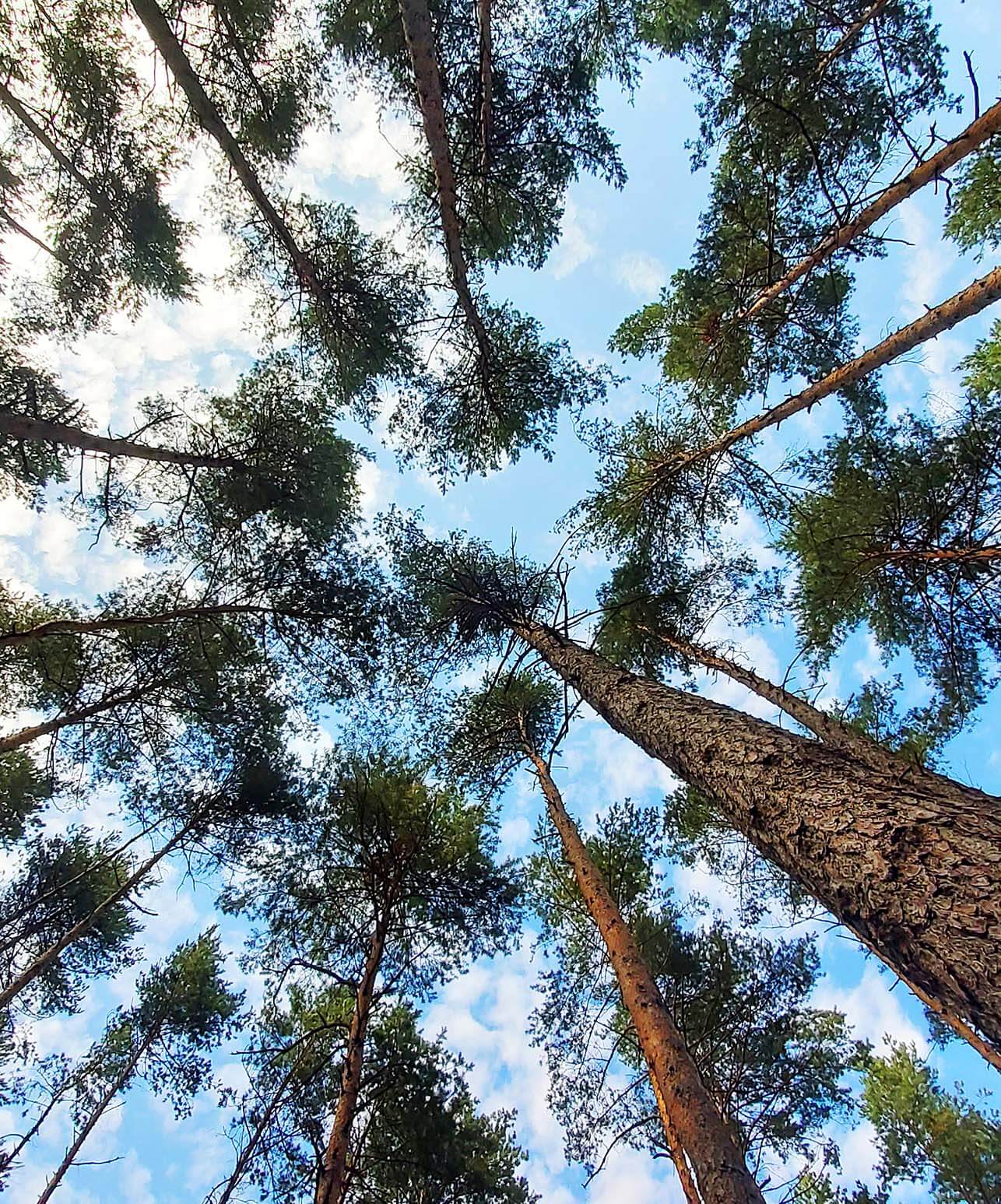 10X Commitment to Being Climate Positive - Natures Fare