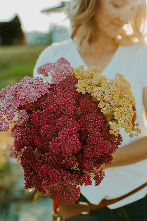 Pick Local Flowers - Natures Fare